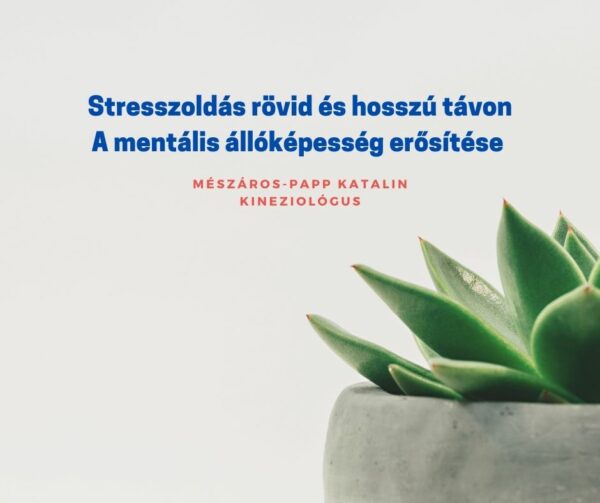 Mészáros-Papp Katalin kineziológus | Kineziológia Vác